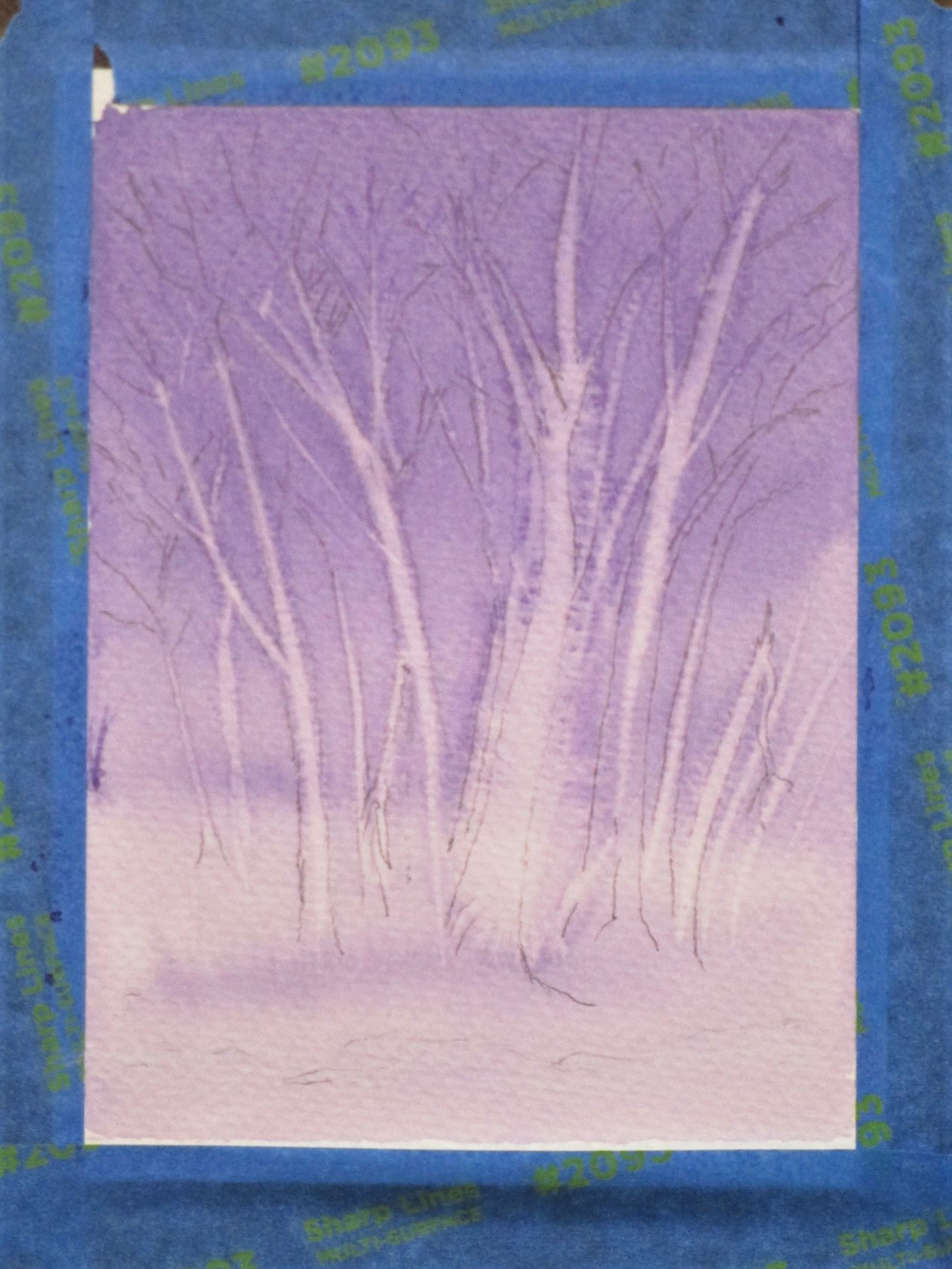 Monochromatic Study – Daily Fiber